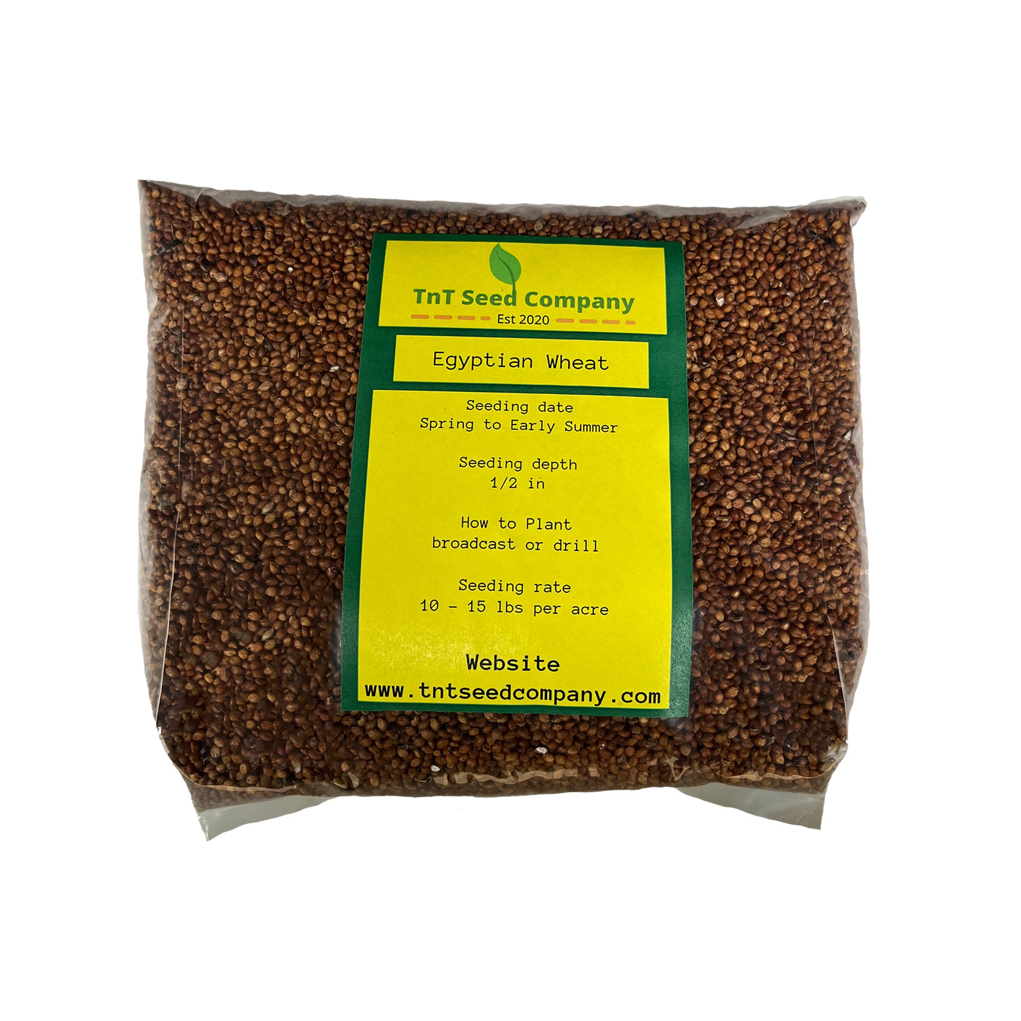 Egyptian Wheat Seed – TnT Seed Company