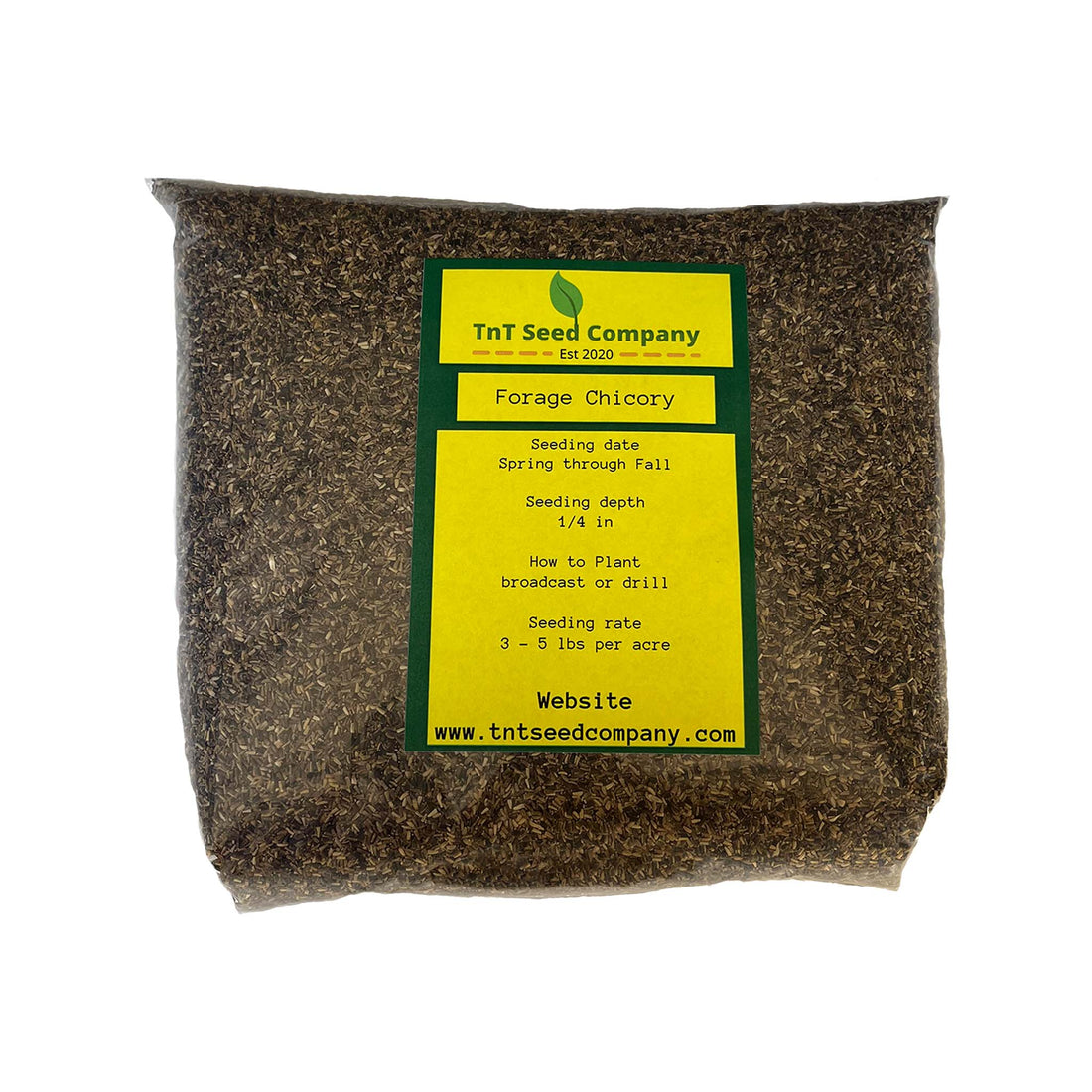 Forage Chicory – TnT Seed Company