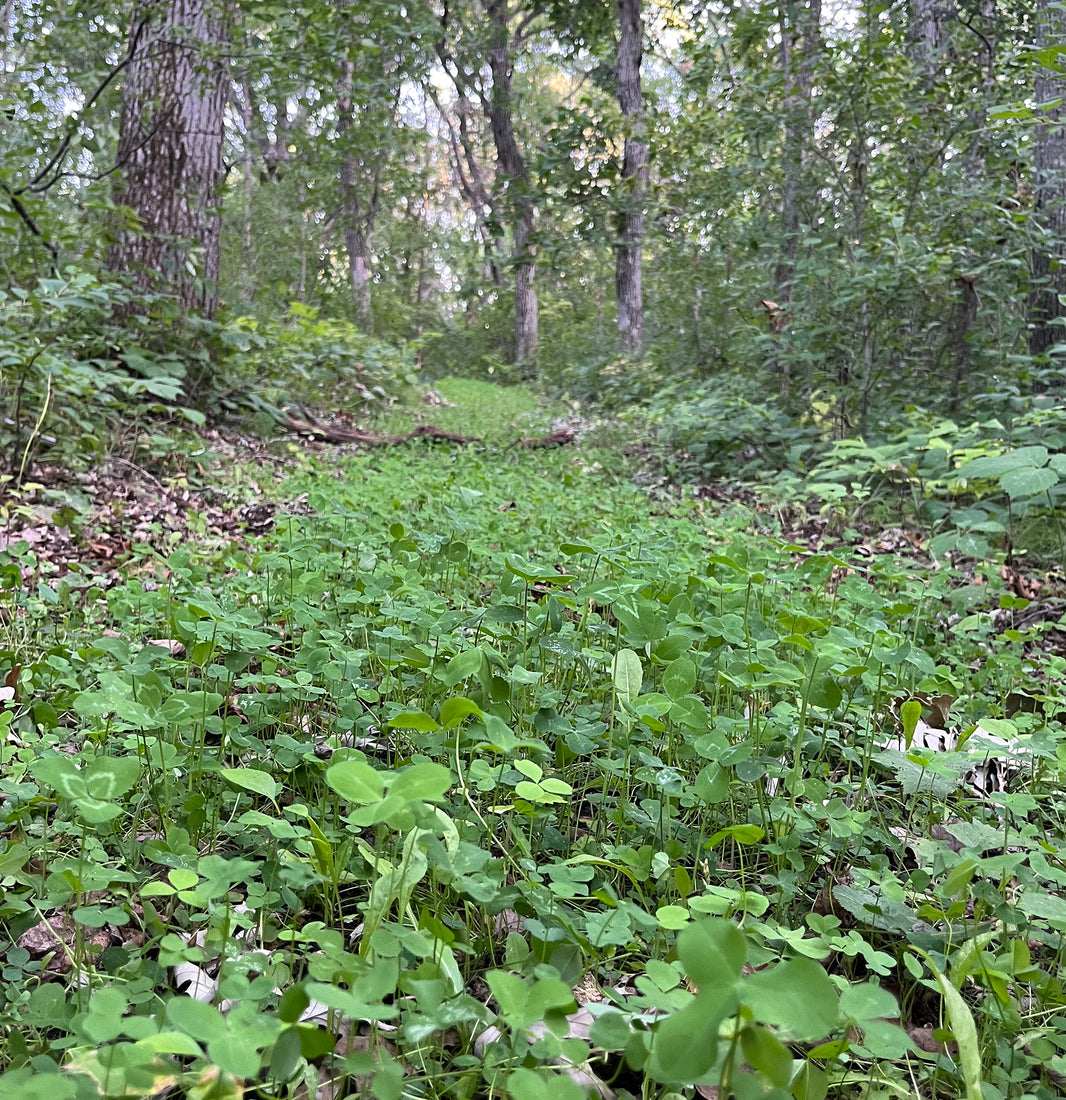 TnT Seed Company’s Signature Food Plot Seed Mixes