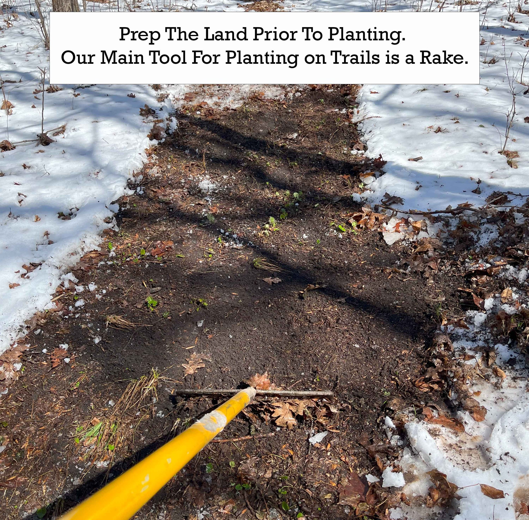 Slim Shady Mix – TnT Seed Company