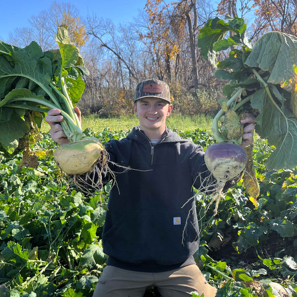 Golden Ball Turnips – TnT Seed Company