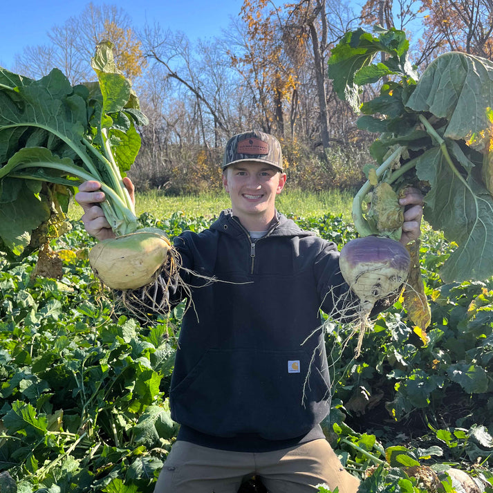 Golden Ball Turnips – TnT Seed Company