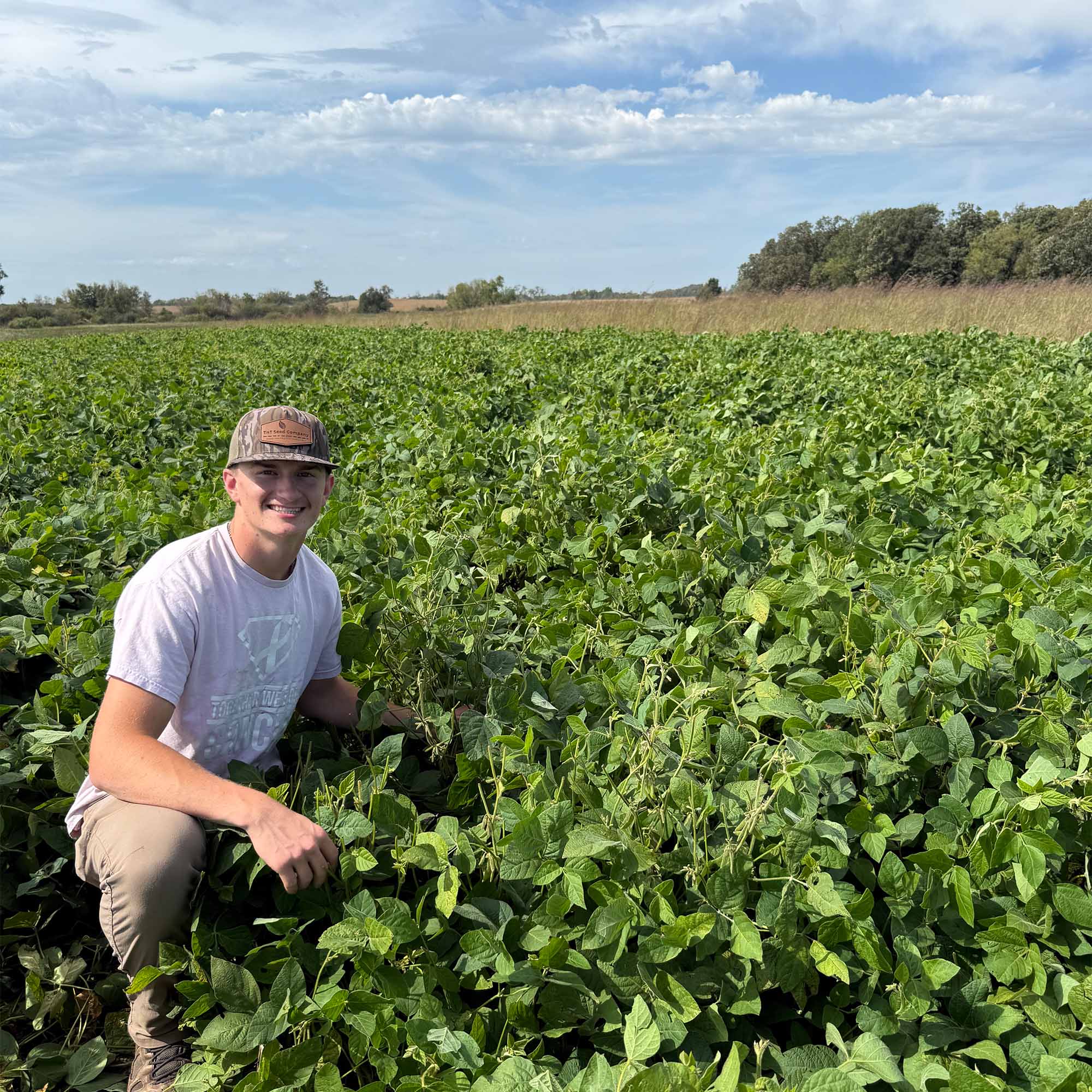Forage Soybeans – TnT Seed Company