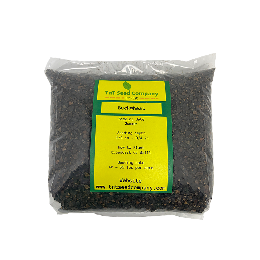 Buckwheat – TnT Seed Company